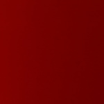 Finishes | Madeline Stuart