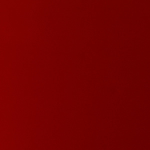 Finishes | Madeline Stuart